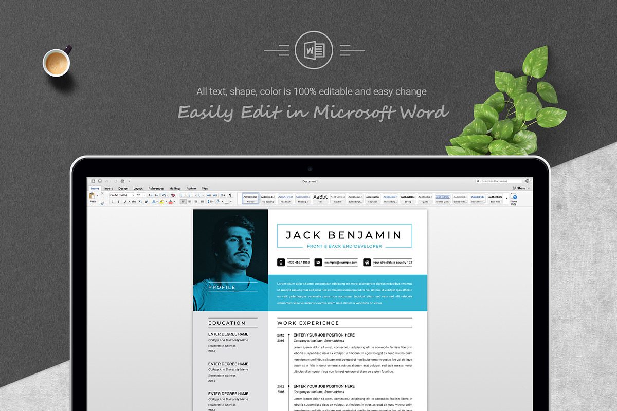 2 Page Resume/CV for Web Developer, a Resume Template by ResumeInventor