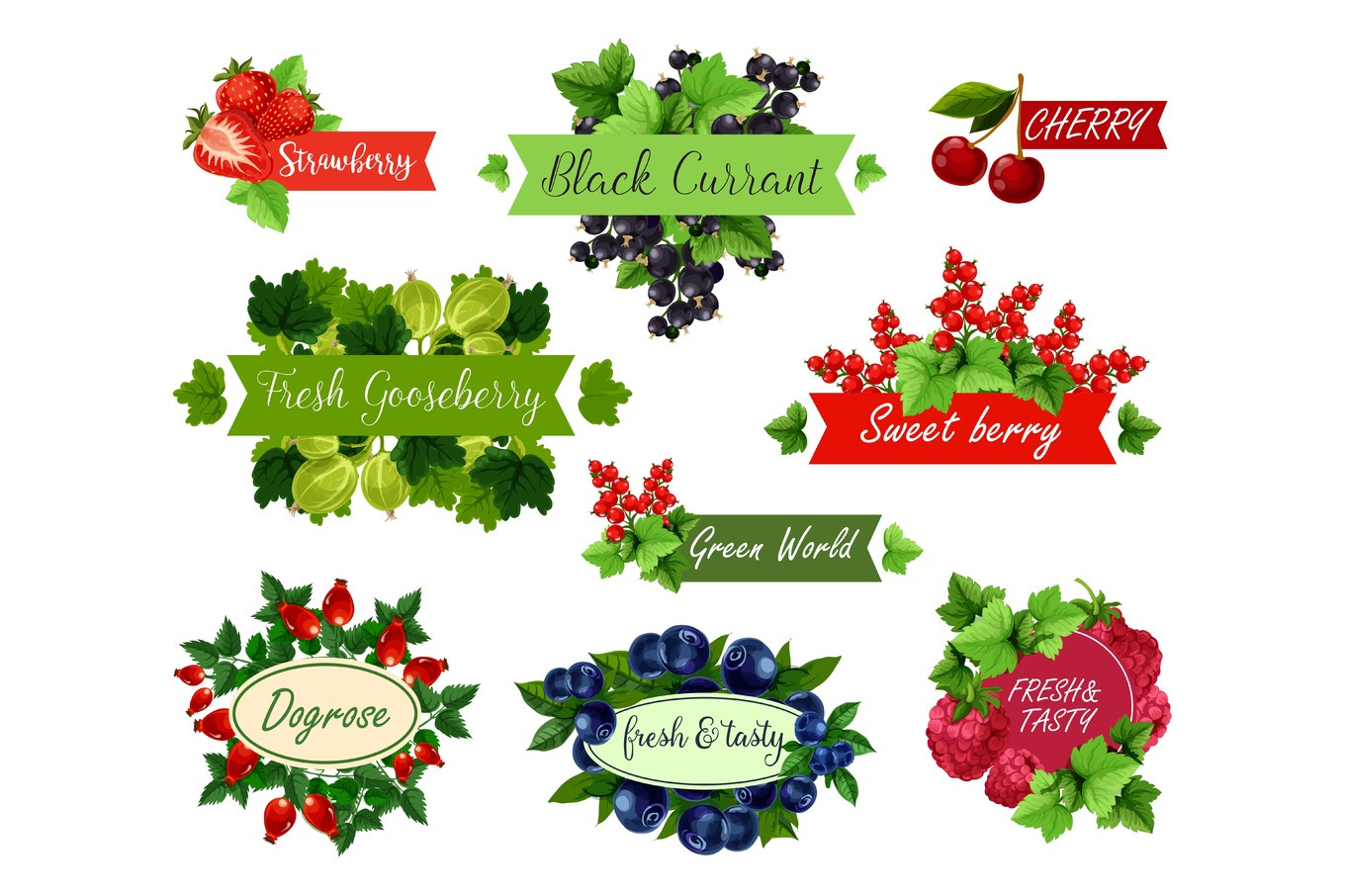 Berry and fruit label set for food, drink design, a Food Illustration ...