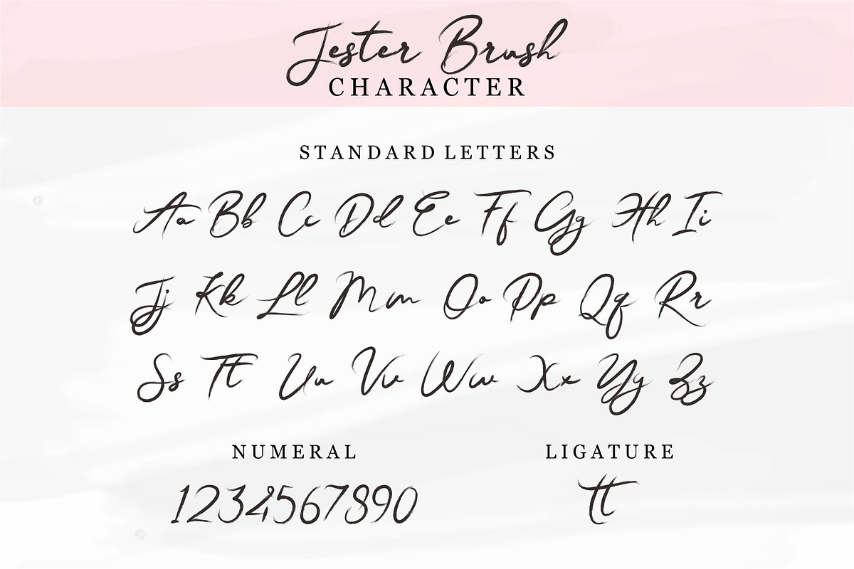 Jester Brush Font, a Script Font by Beautypes