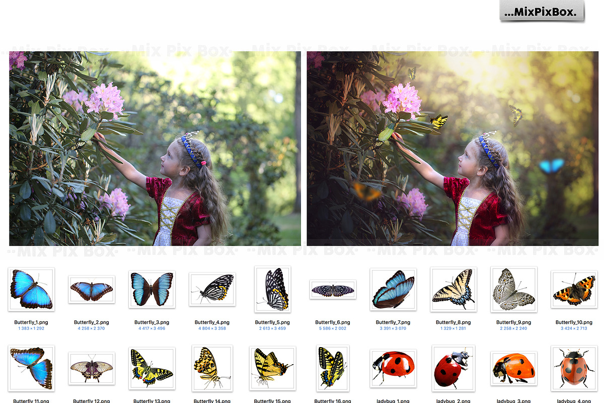 Summer Overlays Mix Pack, a Layer Style Add-On by MixPixBox | Creative ...