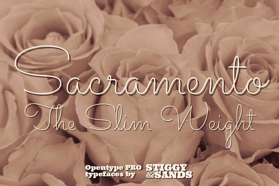 Sacramento Pro Slim, a Script Font by Stiggy & Sands