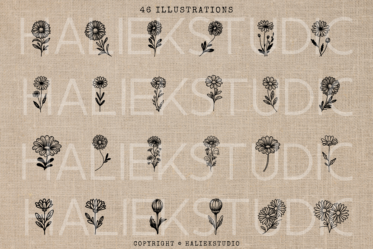 Daisy Procreate Stamp Brush Set, a Brush Add-On by HalieKStudio