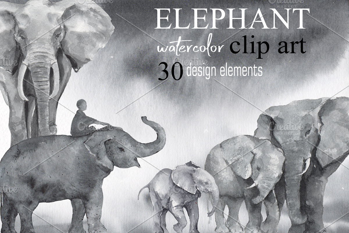 Elephant watercolor clipart, an Animal Illustration by StasyArt