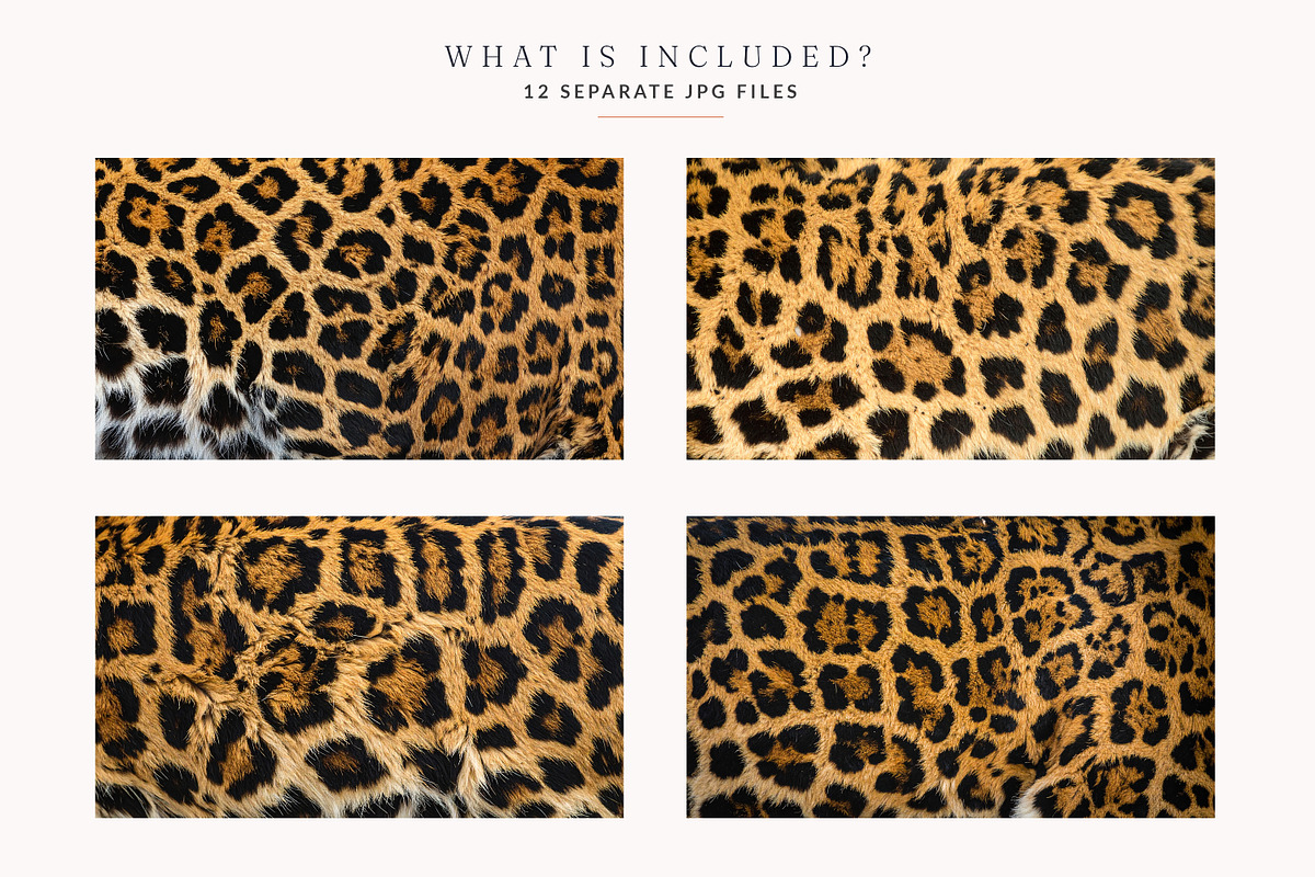 12 Leopard Burlap Backgrounds, a Background Graphic by Graphicfresh