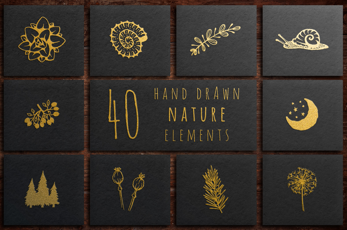 40 Hand Drawn Nature Elements, an Animal Illustration by Michael ...