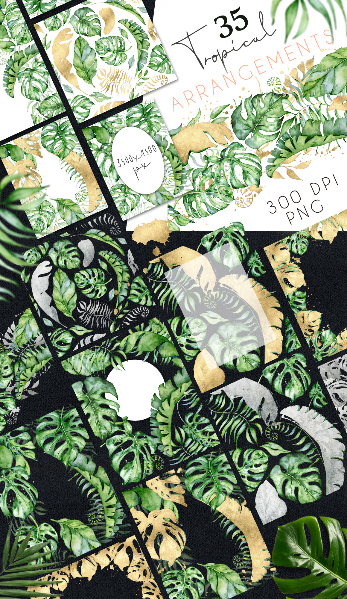 Tropical Arrangements watercolor, a Decorative Illustration by Evgeniia