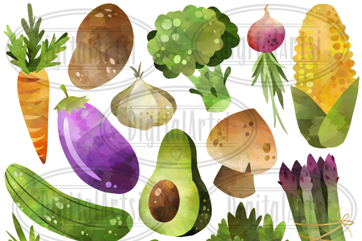 Watercolor Vegetable Clipart, a Food Illustration by DigitalArtsi