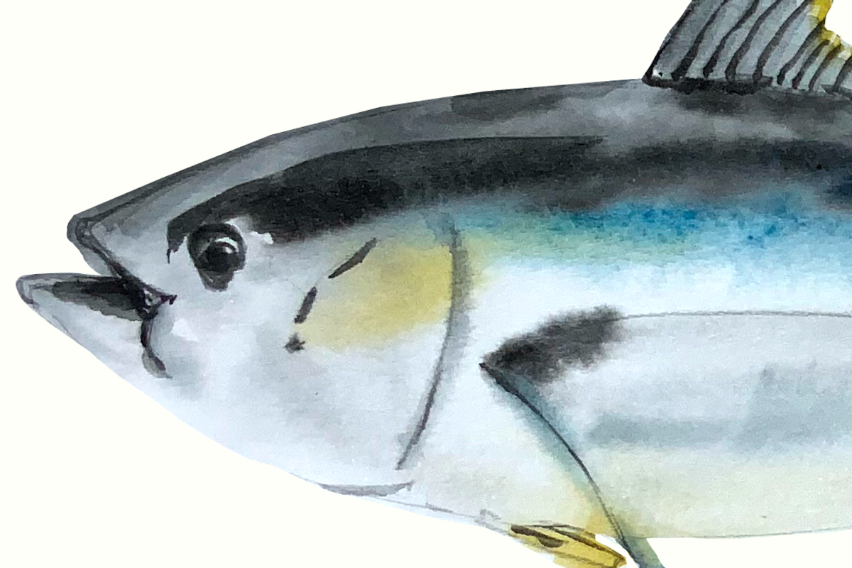 Watercolor Fishing Clip Art Set, an Illustration by Tati Bordiu