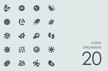 Organisms icons, an Icon by Palau