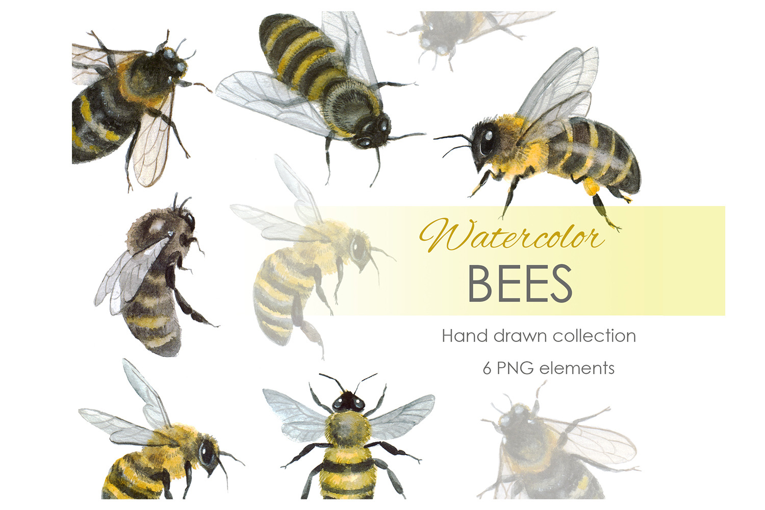 Watercolor Clipart. Bee set png art, a Decorative Illustration by ...