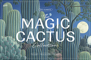Magic Cactus, an Illustration by Nomad Visuals