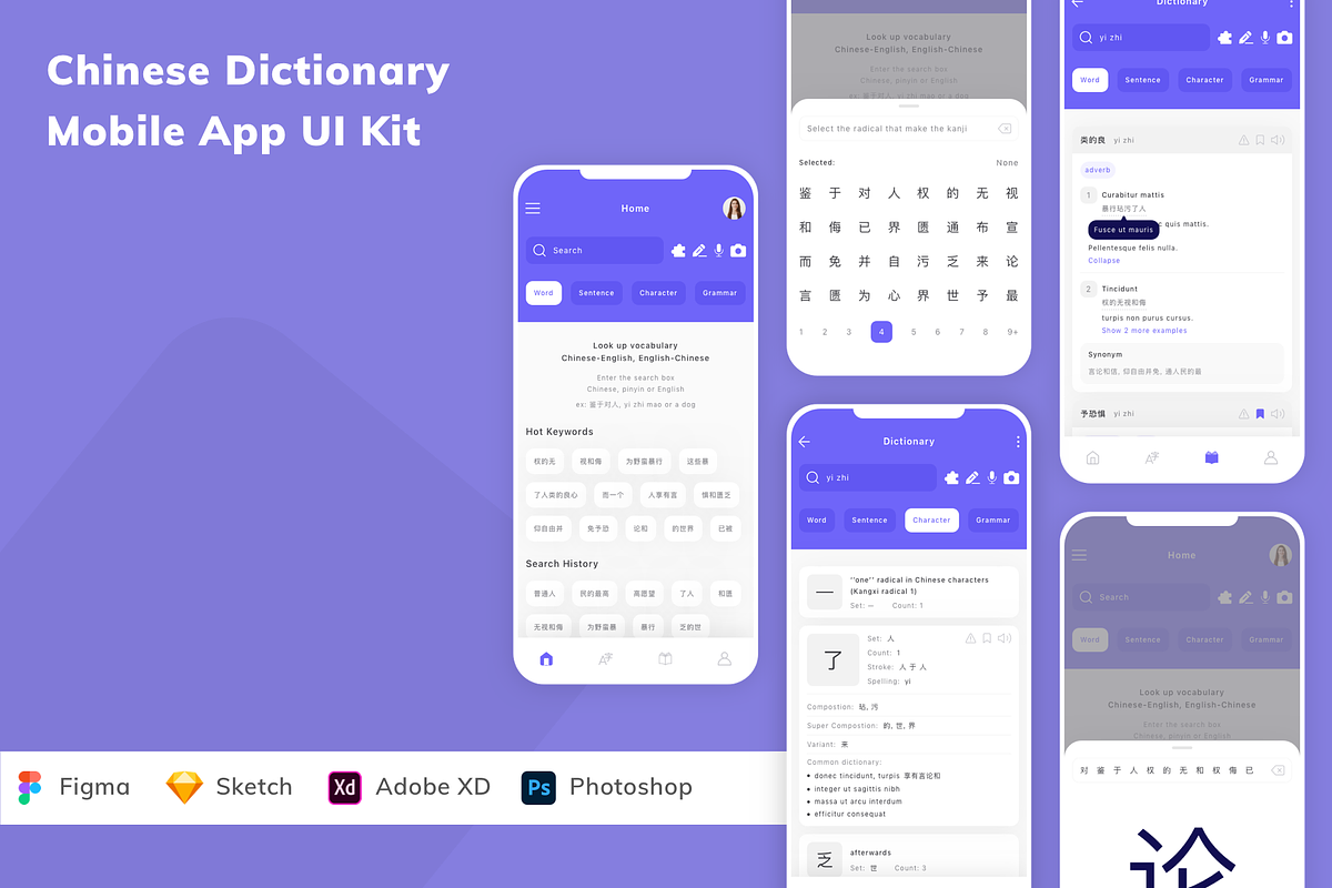 Chinese Dictionary Mobile App UI Kit, an UI Kit Template by Betush