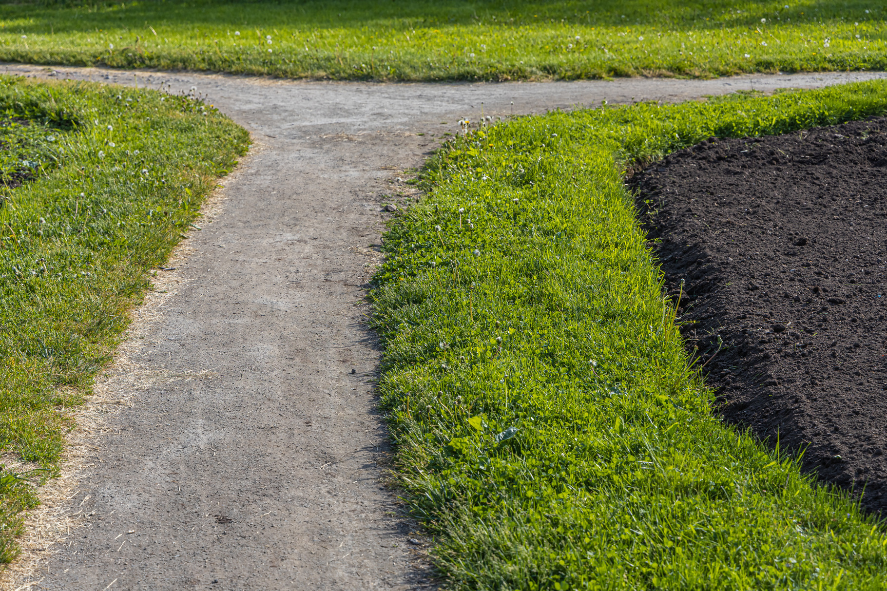 Horizontal texture of green lawn gra featuring lawn, grass, and ...