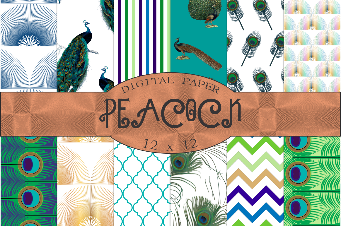 Peacock digital papers | Graphic Patterns ~ Creative Market