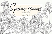Spring flowers. Line sketch vector, a Decorative Illustration by irina ...