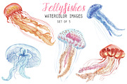 Watercolor Jellyfish Clipart, an Animal Illustration by YesFoxy