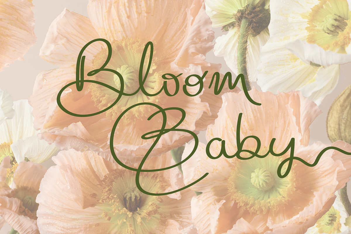 Monterey | Handwritten Script Font