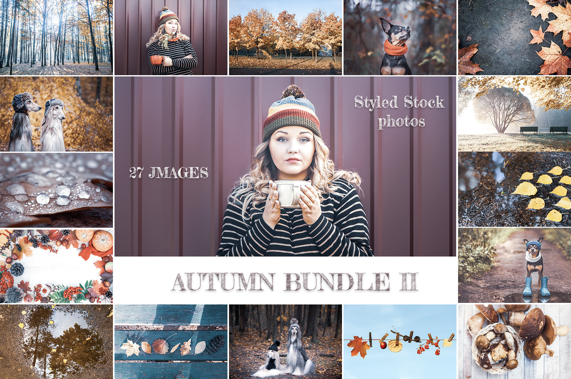 Autumn Bundle II, a Photo by WildStrawberry Magic