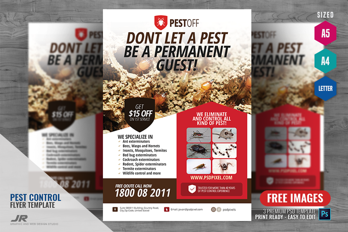 Pest and Insect Control Flyer, a Flyer Template by PSDPixel