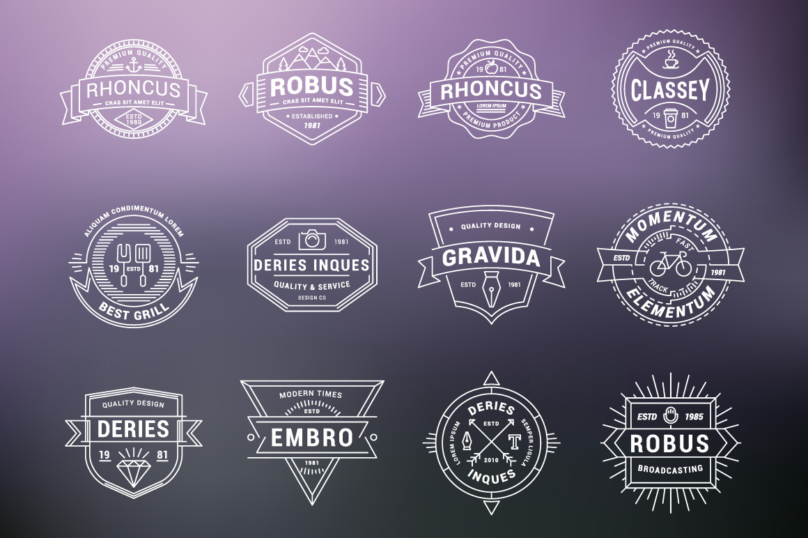 Set of Vintage Thin Line Badges, a Branding & Logo Template by AntartStock