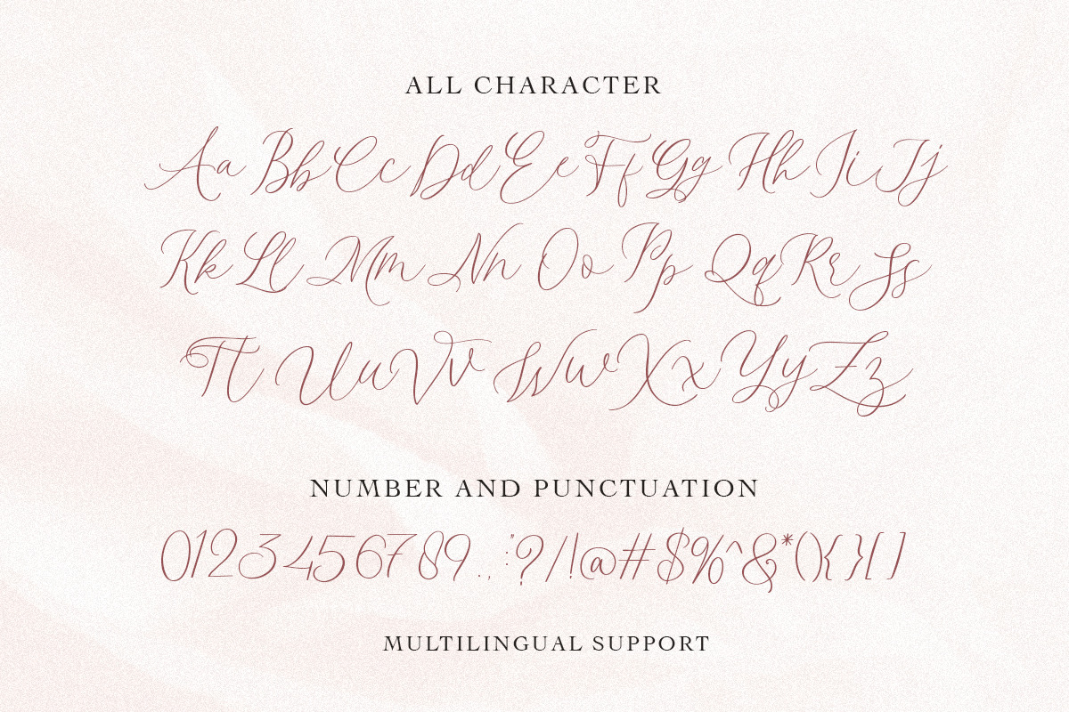 Adeline - Modern Light Calligraphy, a Script Font by Bale Type
