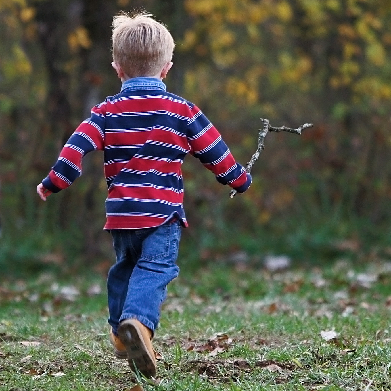 All You Need is a Stick, a Person Photo by Mr Geoff