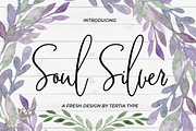 Soul Silver, a Script Font by akrtype