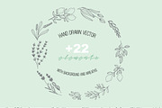 HAND DRAWN NATURAL HERB&LEAF VECTOR, a Script Font by MooBeer