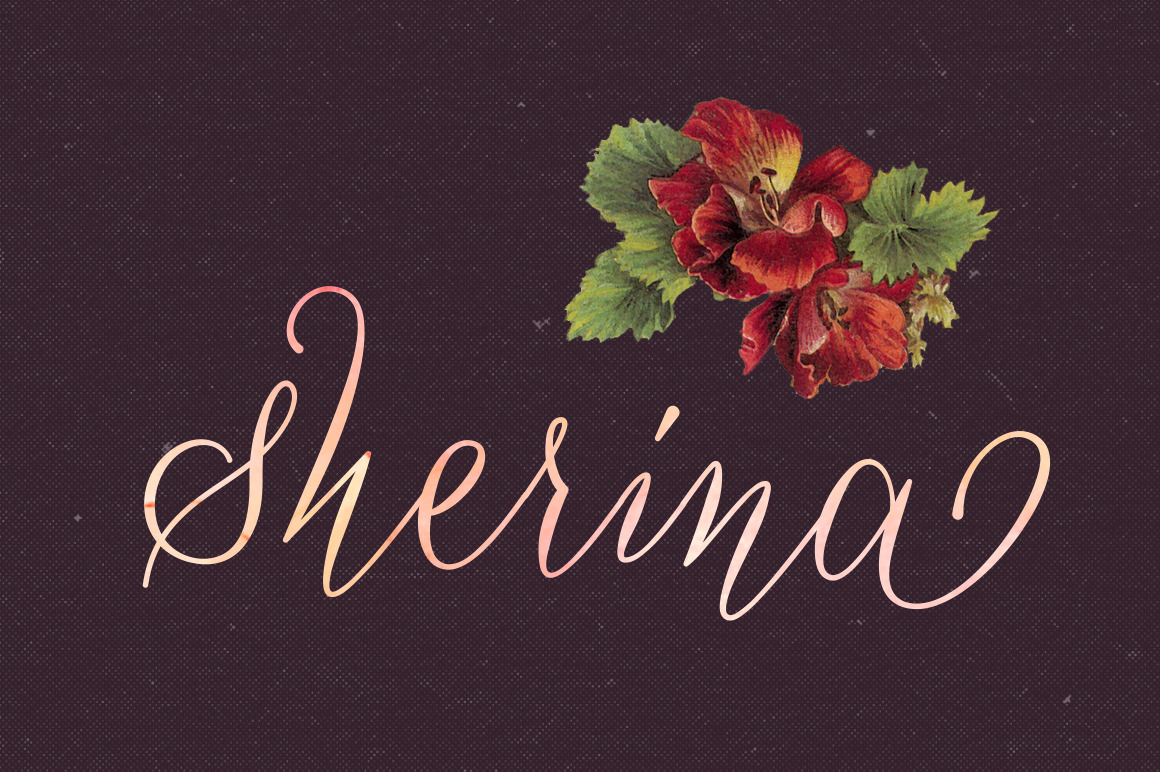 Sherina + Bonus, a Script Font by artimasa