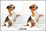 Canon Picture Styles Profiles, a Plug-in Add-On by Raztrend