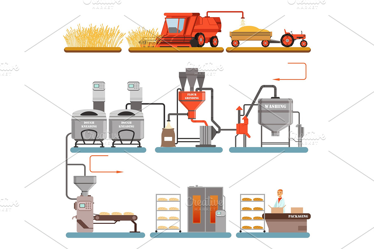 Bread production process stages from wheat harvest to freshly baked ...