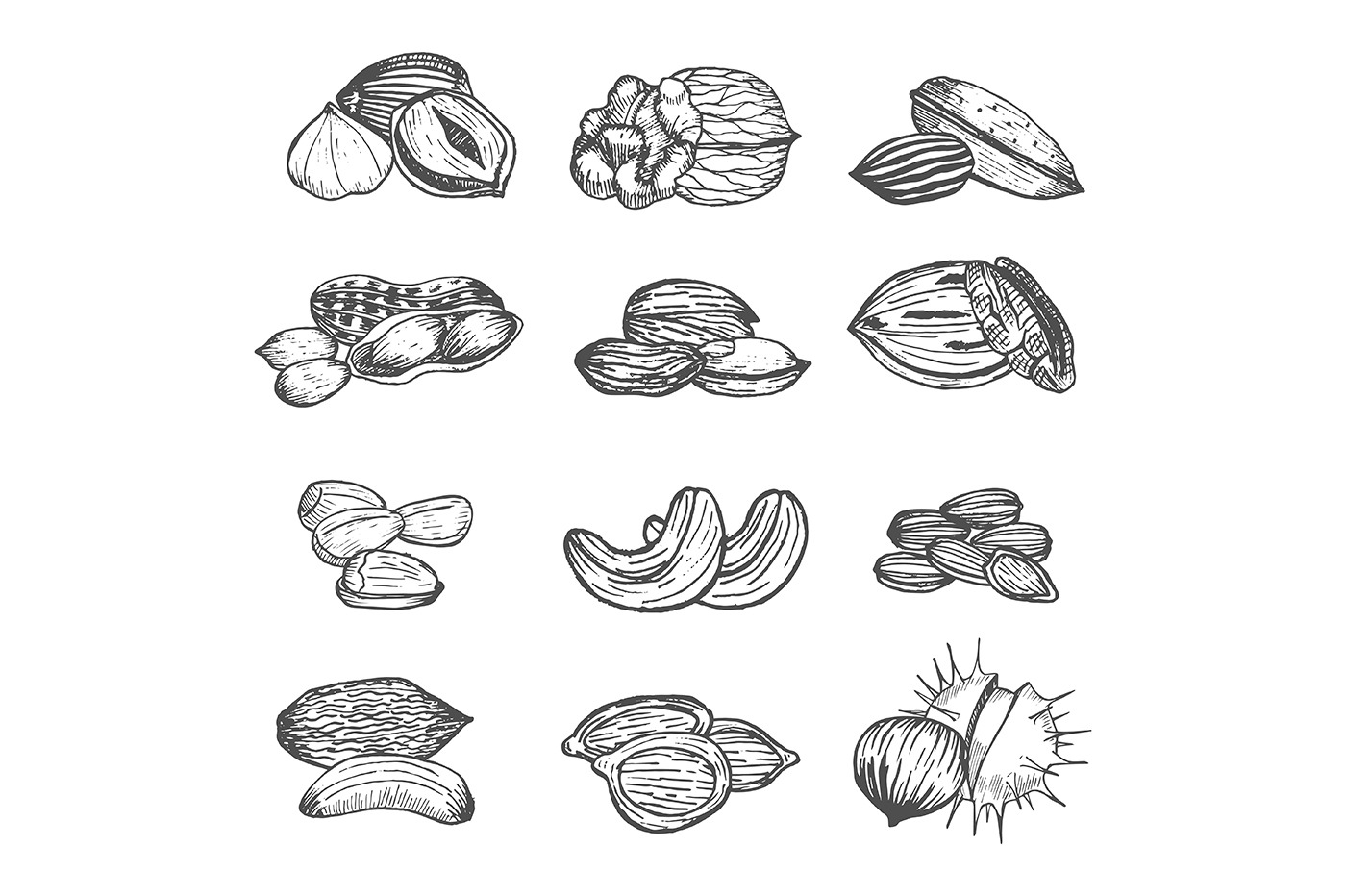 Nuts Set Hand Draw Sketch | Food Illustrations ~ Creative Market
