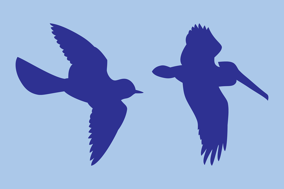 Birds Flying Font, a Symbol Font by GG Design