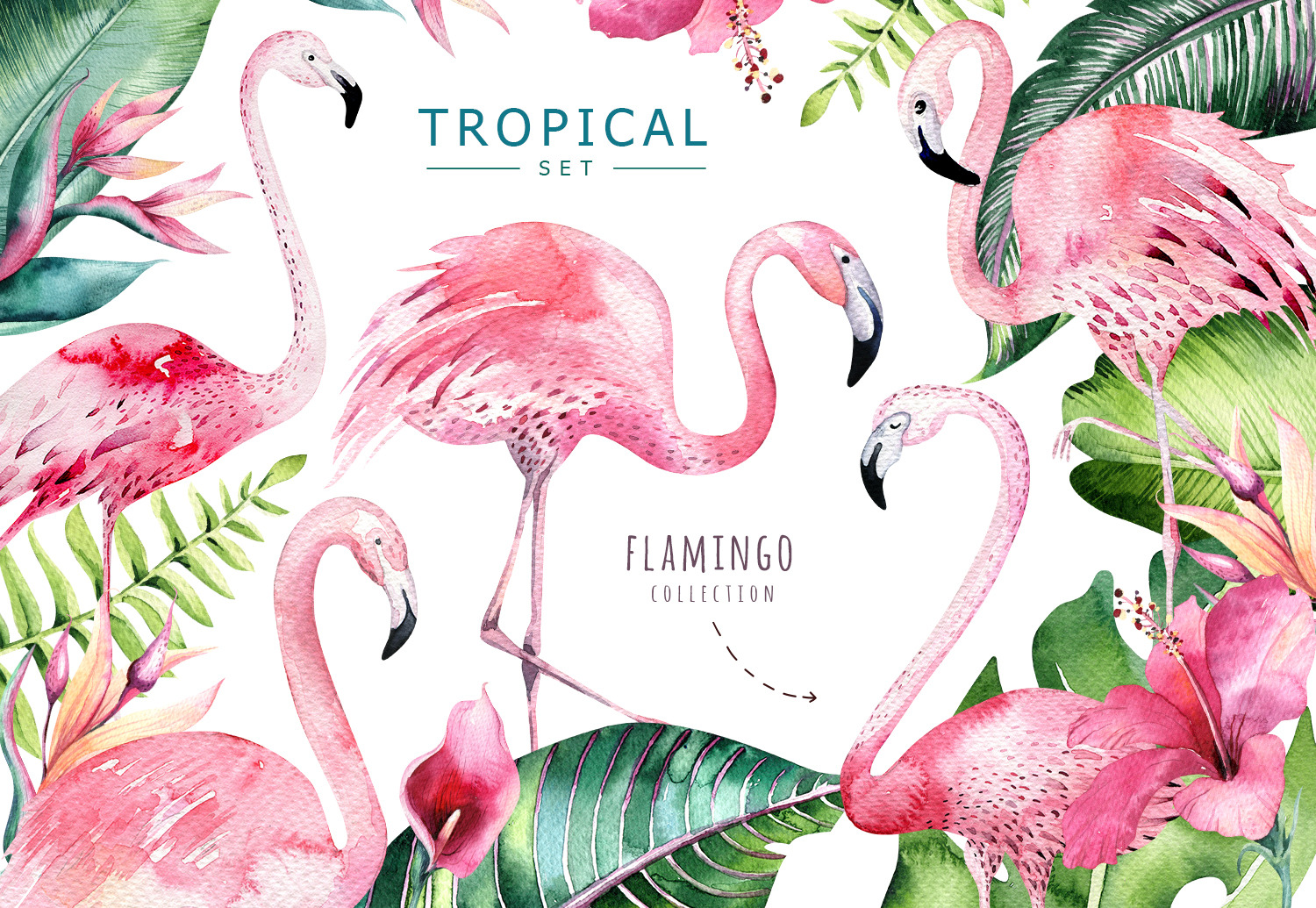 Tropical set II. Flamingo collection, a Decorative Illustration by ...