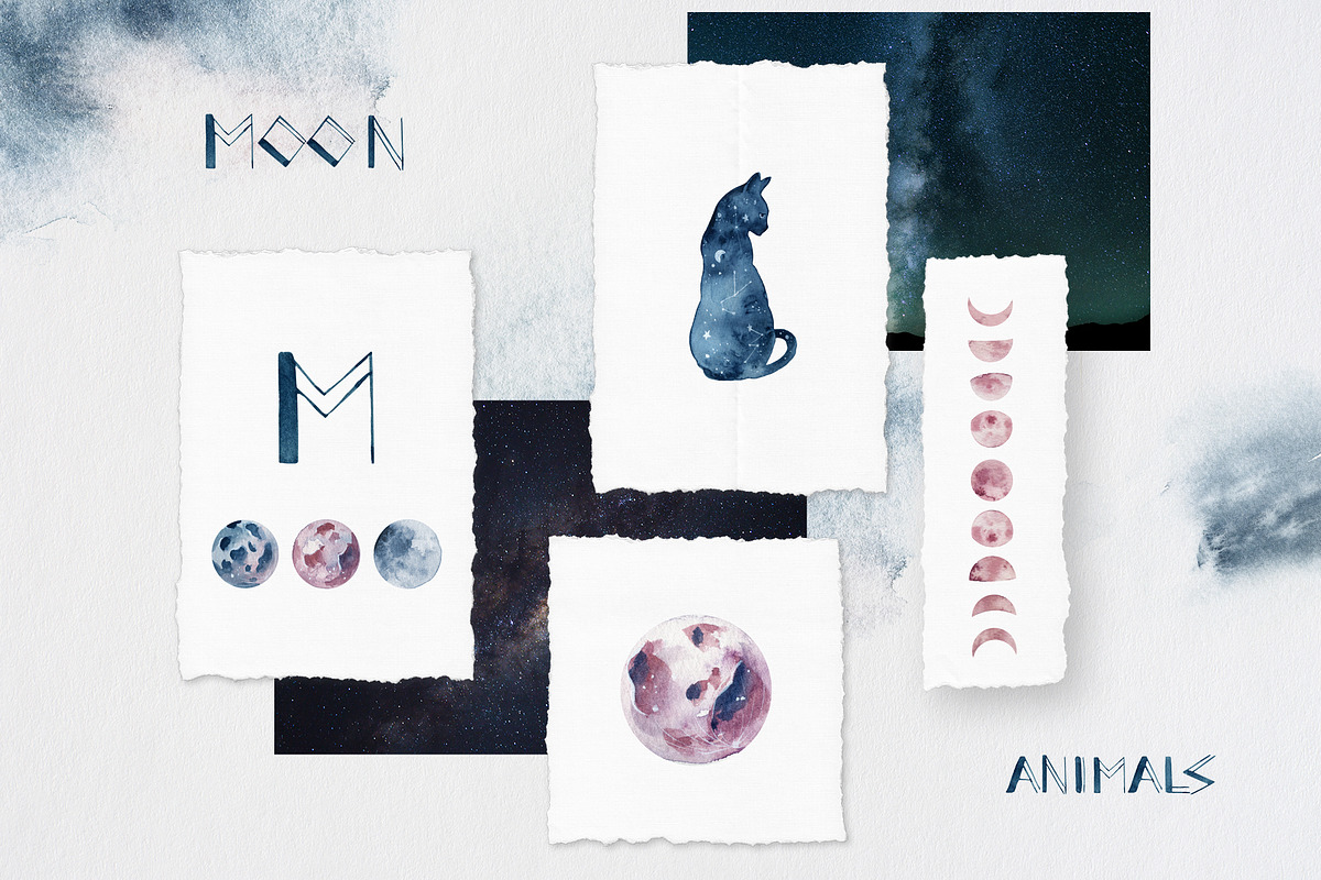 Animals and stars collection, an Animal Illustration by SparklePixieStudio