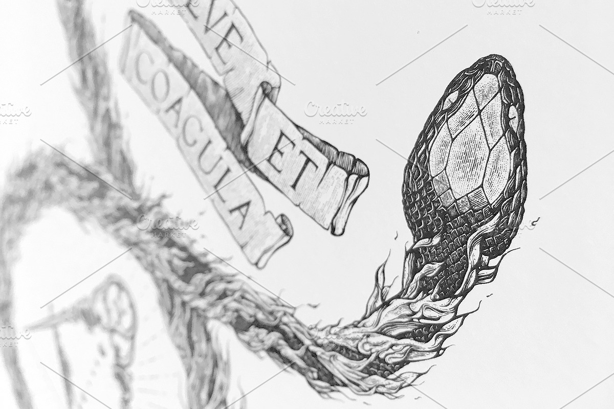 Alchemical Marriage, an Illustration by Elymas