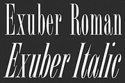 Exuber Typeface, a Serif Font by Arys Design