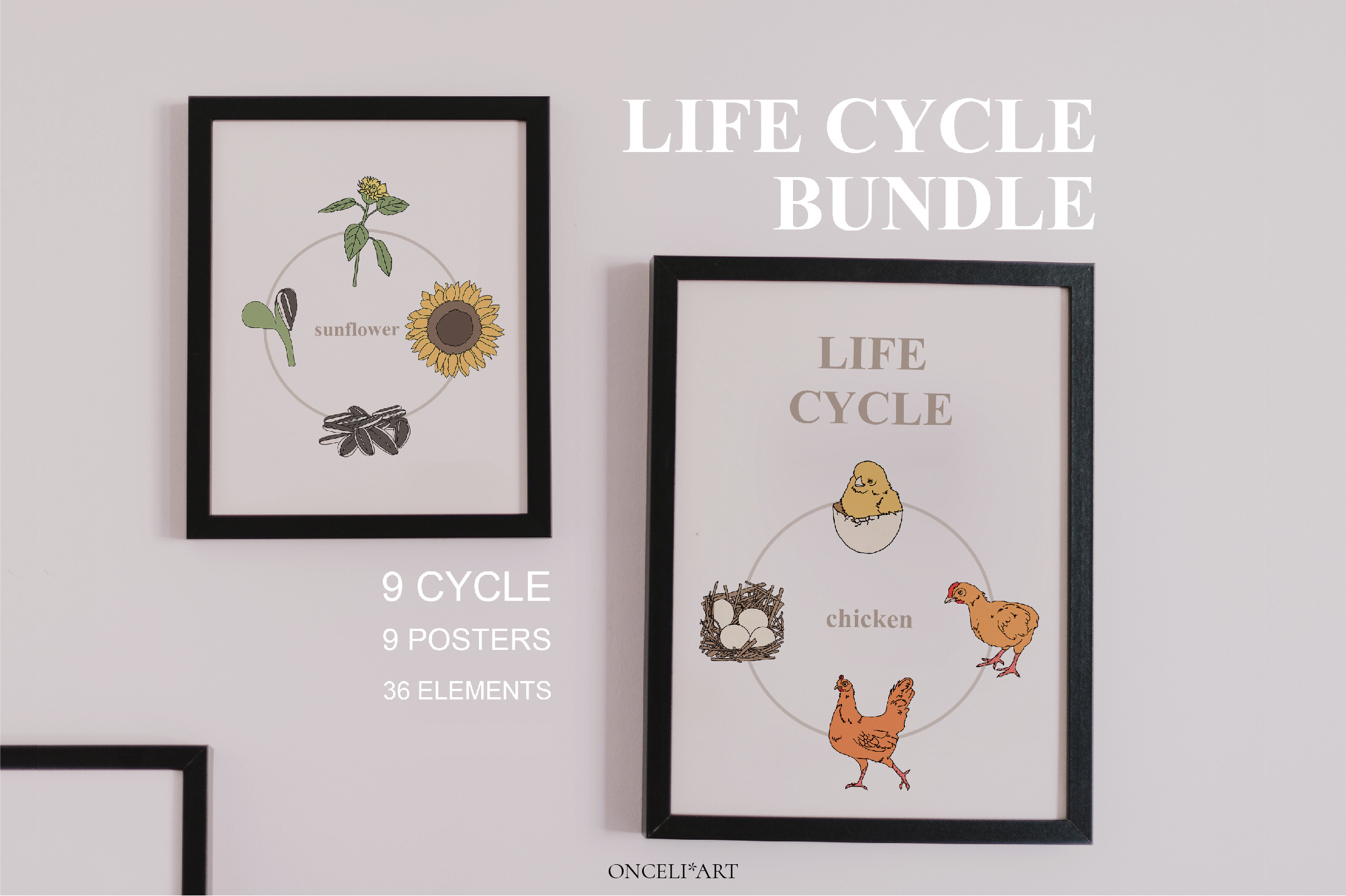 Life cycle bundle, an Animal Illustration by Onceli*art | Creative Market