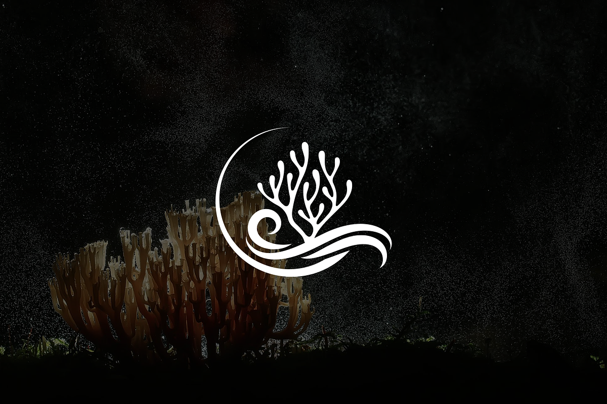 Minimalist Modern Sea Moss Logo