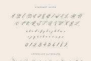 Nufertum, a Script Font by vuuuds