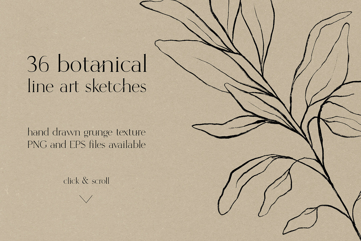 Botanical line art minimalist sketches