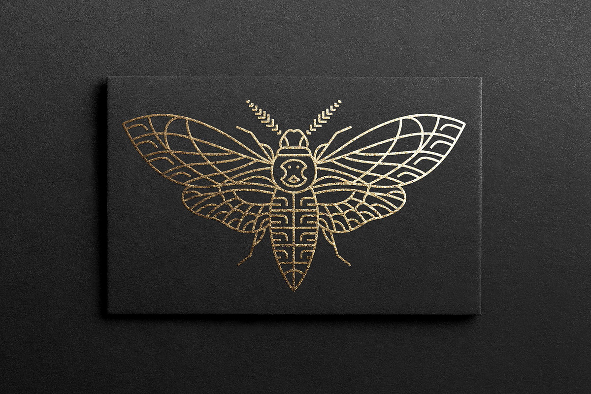 16 Insect symbols and 4 Patterns, an Outline Icon by Anna Smirnova
