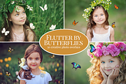 Flutter by Butterfly photo overlays, an Object Graphic by BrownLeopard