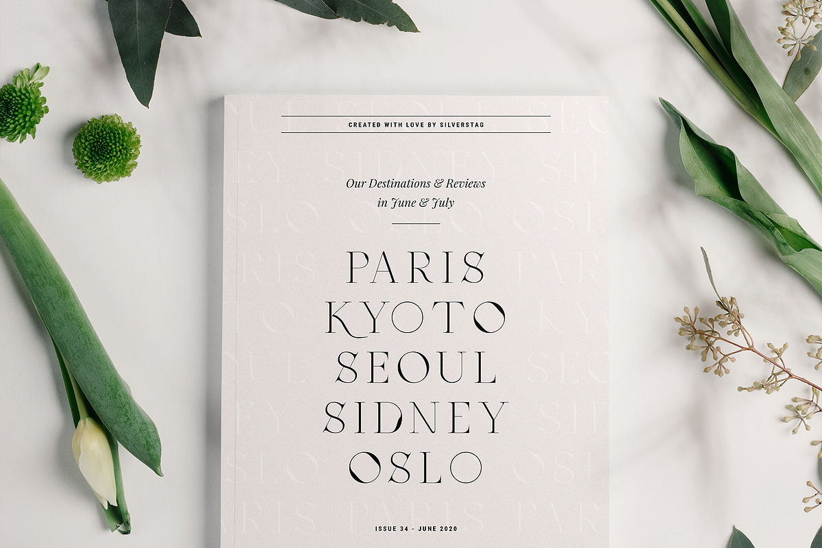 MOON CROWD - Elegant & Stylish Serif, a Serif Font by SilverStag Type ...