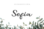 Sofia Script Font, a Script Font by Awanstudio