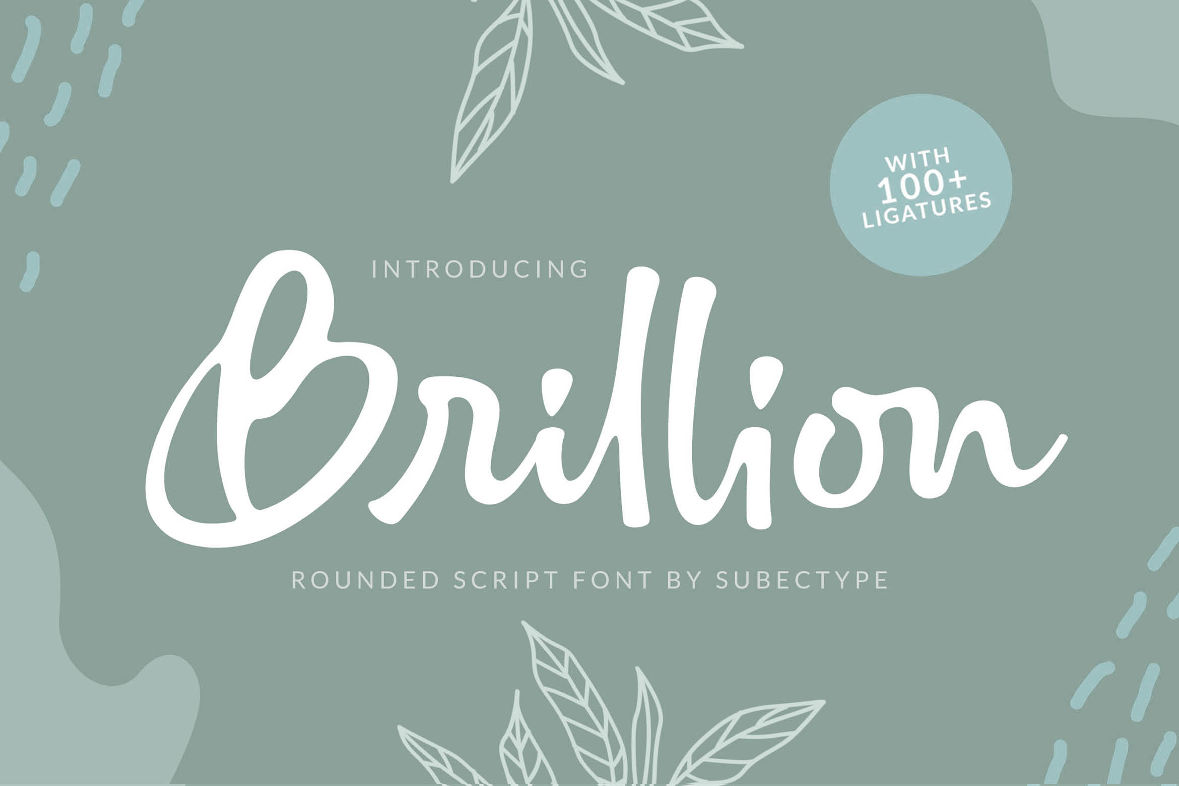 Brillion / Handwritten Script Font, a Script Font by Subectype Studio