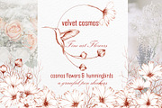 FLORAL LINE ART, cosmos&hummingbird, a Texture Illustration by ArtOLB