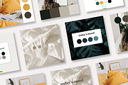Color Palette Post CANVA Template