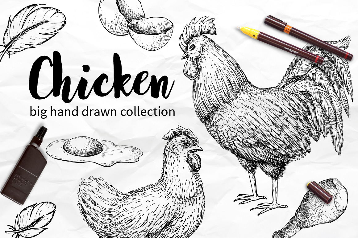 Chicken Hand Drawn Set, a Background Graphic by Epine