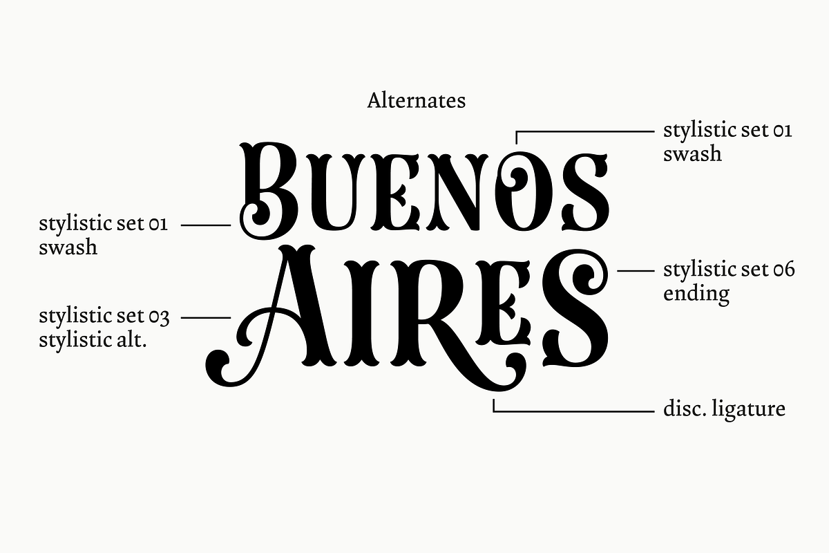 Dress - Complete Font Family, a Serif Font by Typesenses